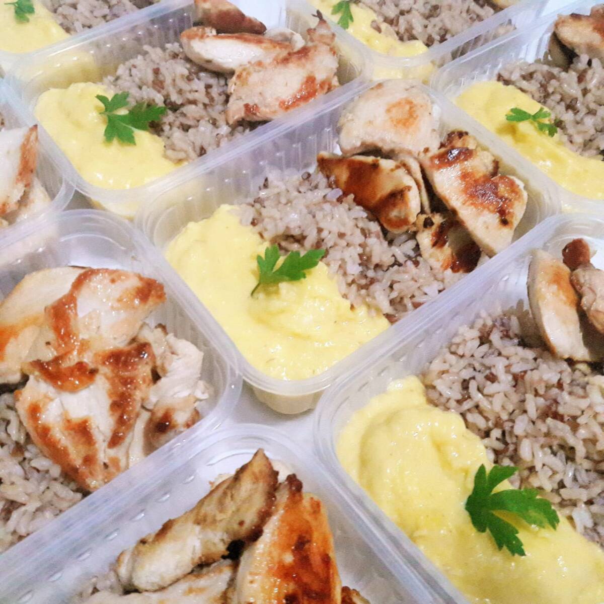 KIT 10 Marmitas Fitness - 400g - Viver Bem Saudável